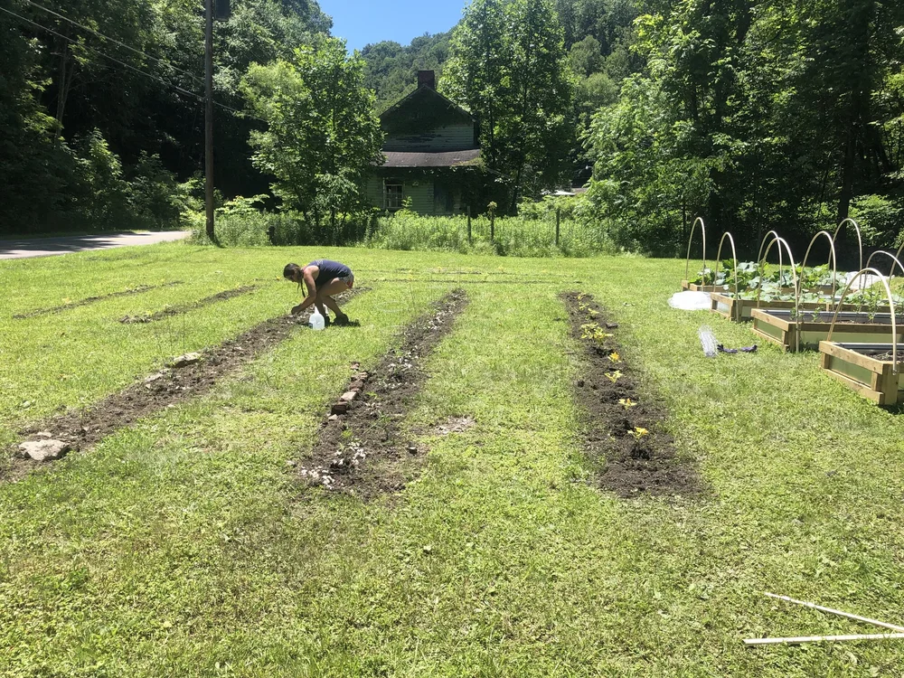 Our Gardens — Zera House