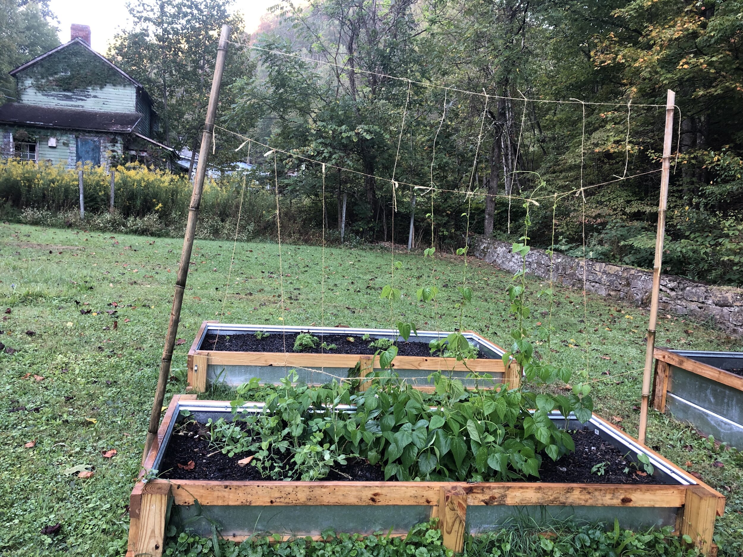 Our Gardens — Zera House