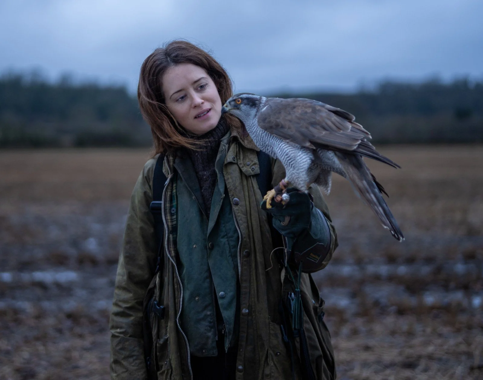 H is for Hawk — Ted Takes | Movie Reviews, Previews & Trailers