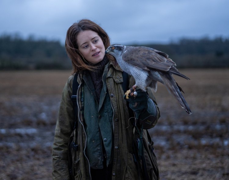 H is for Hawk — Ted Takes | Movie Reviews, Previews & Trailers