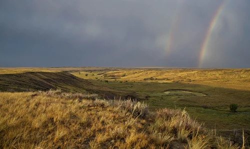 Ken Burns American Heritage Prize