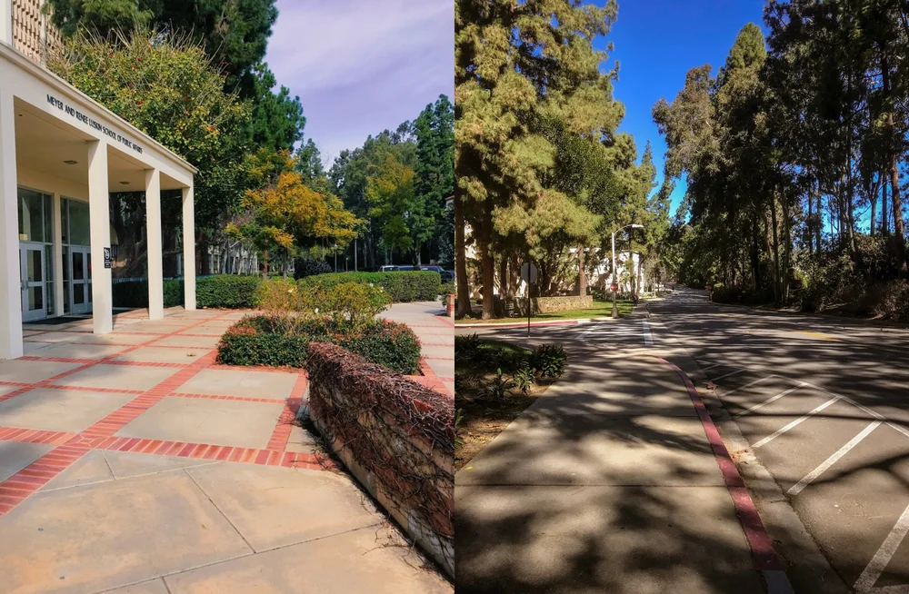 A Breath of Fresh Air: 10 Nature Spots at UCLA - Total Wellness