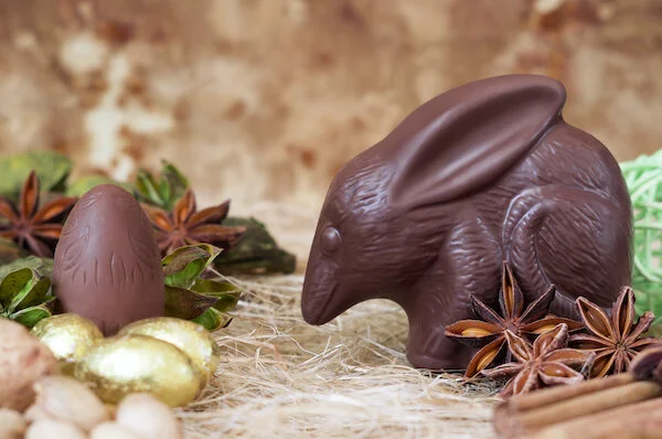 Bandicoots — kidcyber