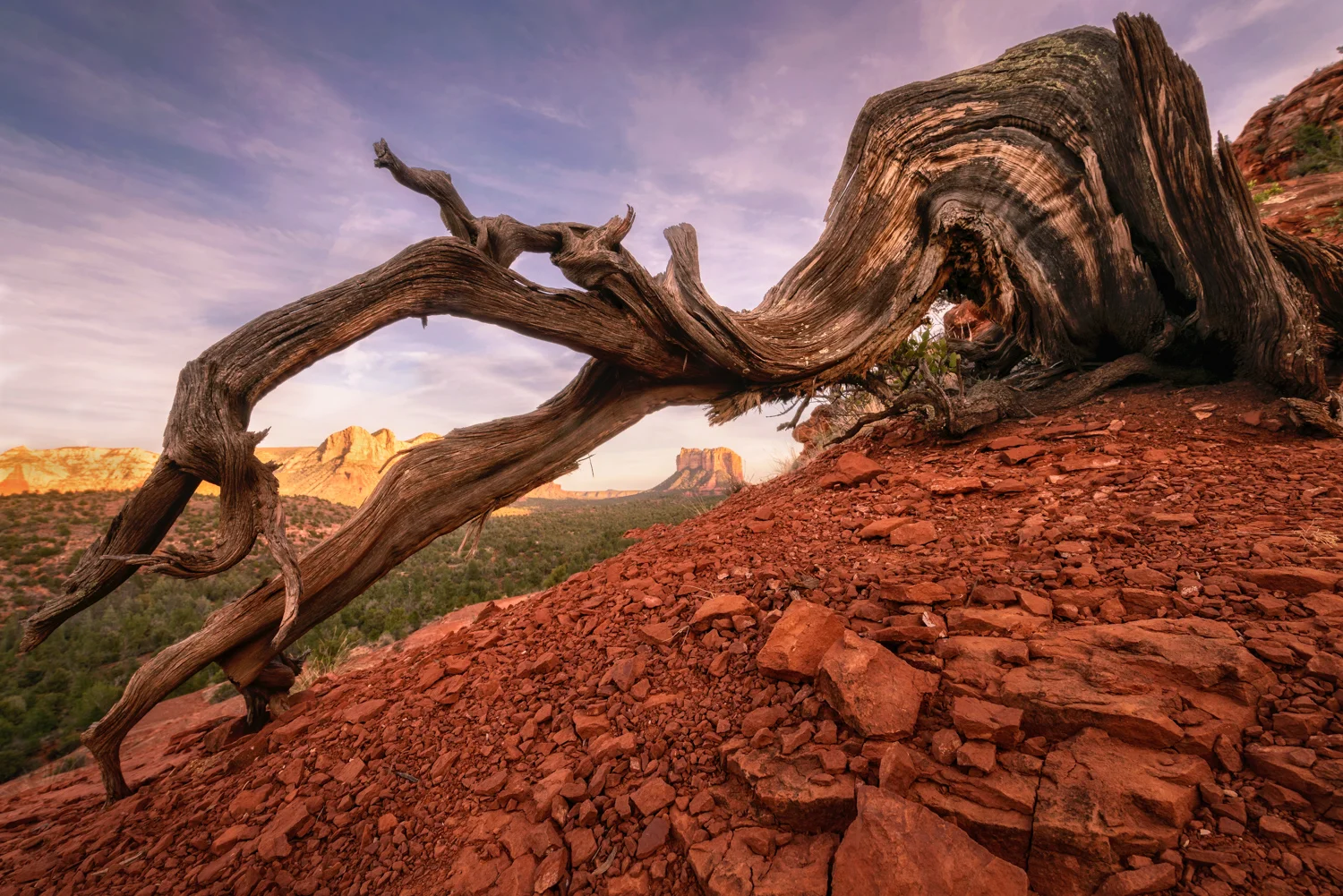 Todd Frame Photography