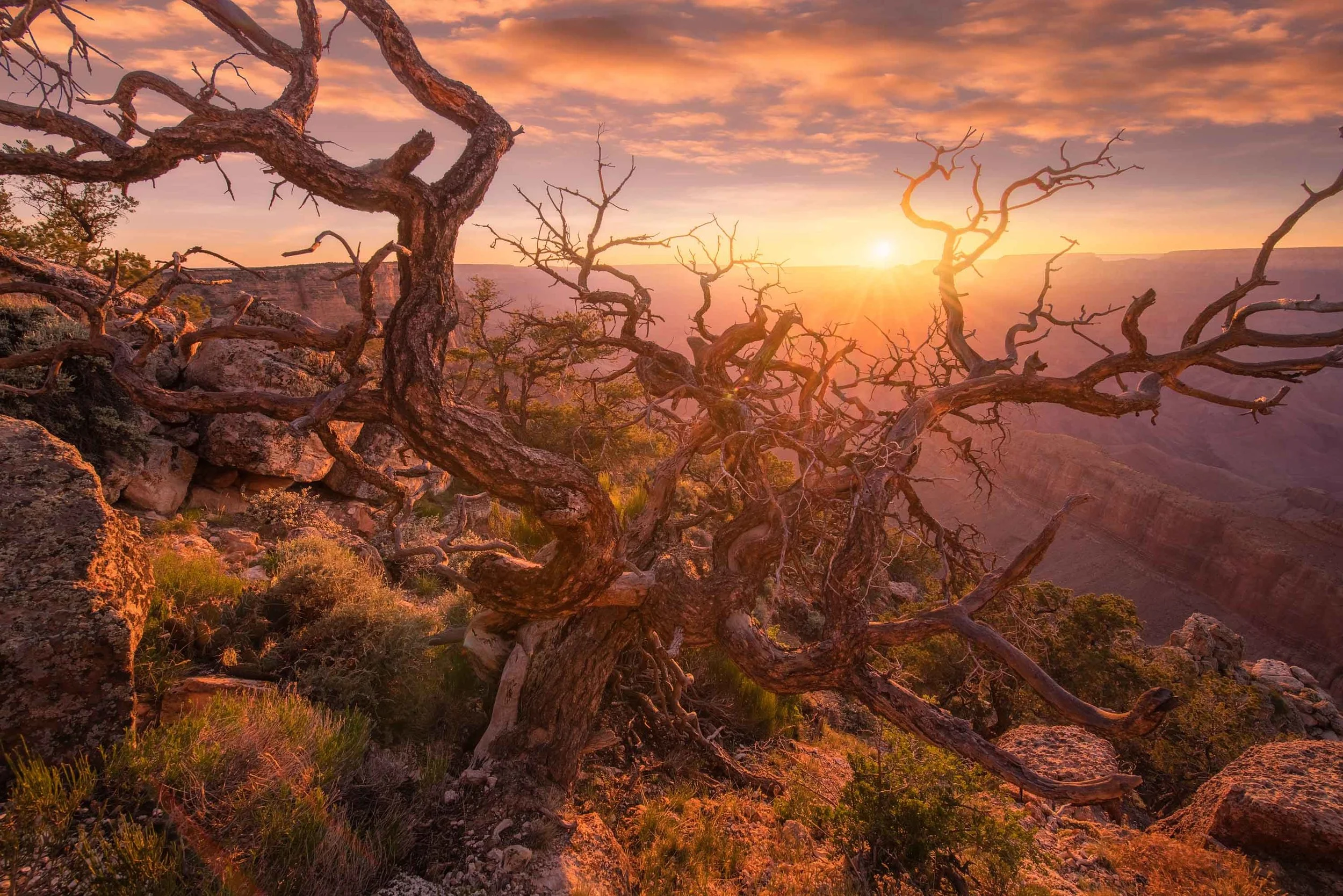 Todd Frame Photography