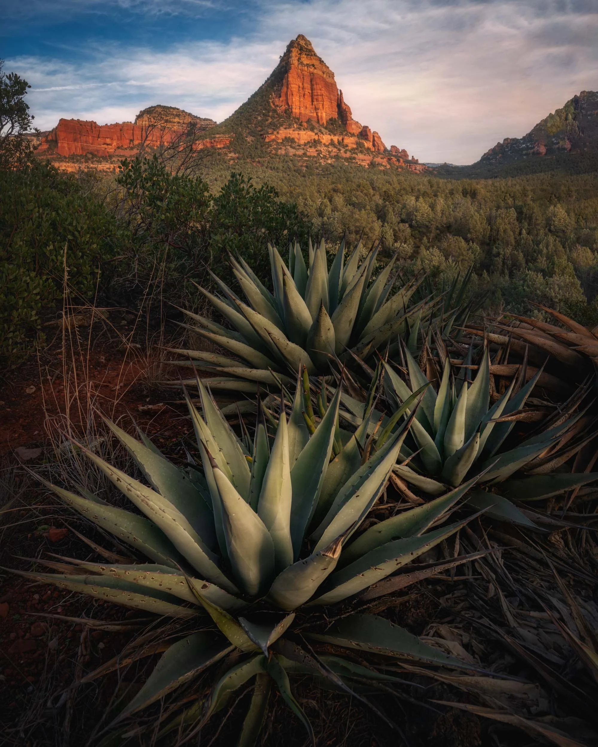 Todd Frame Photography