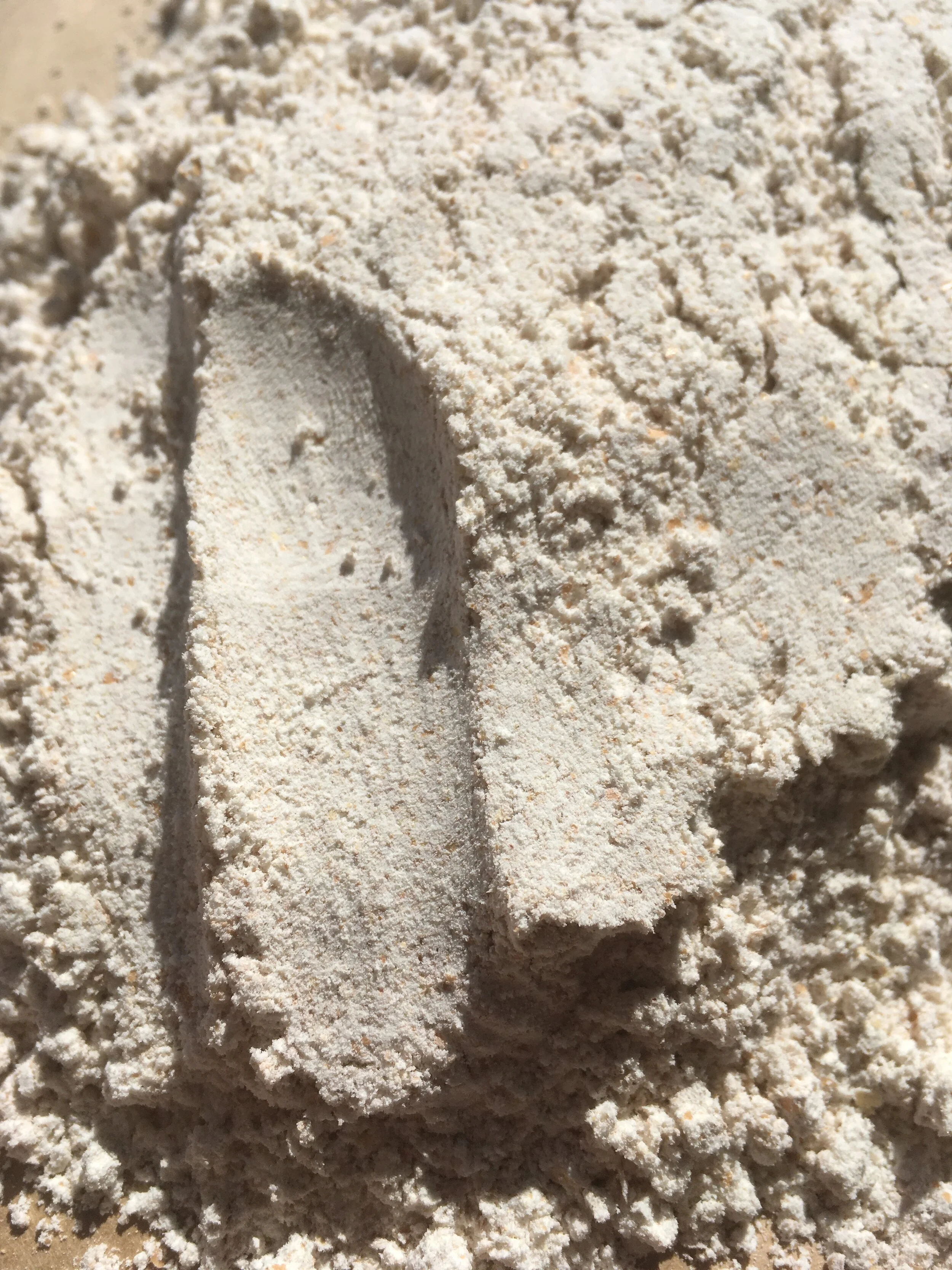 Shop Grains and Flours — Red Tail Grains