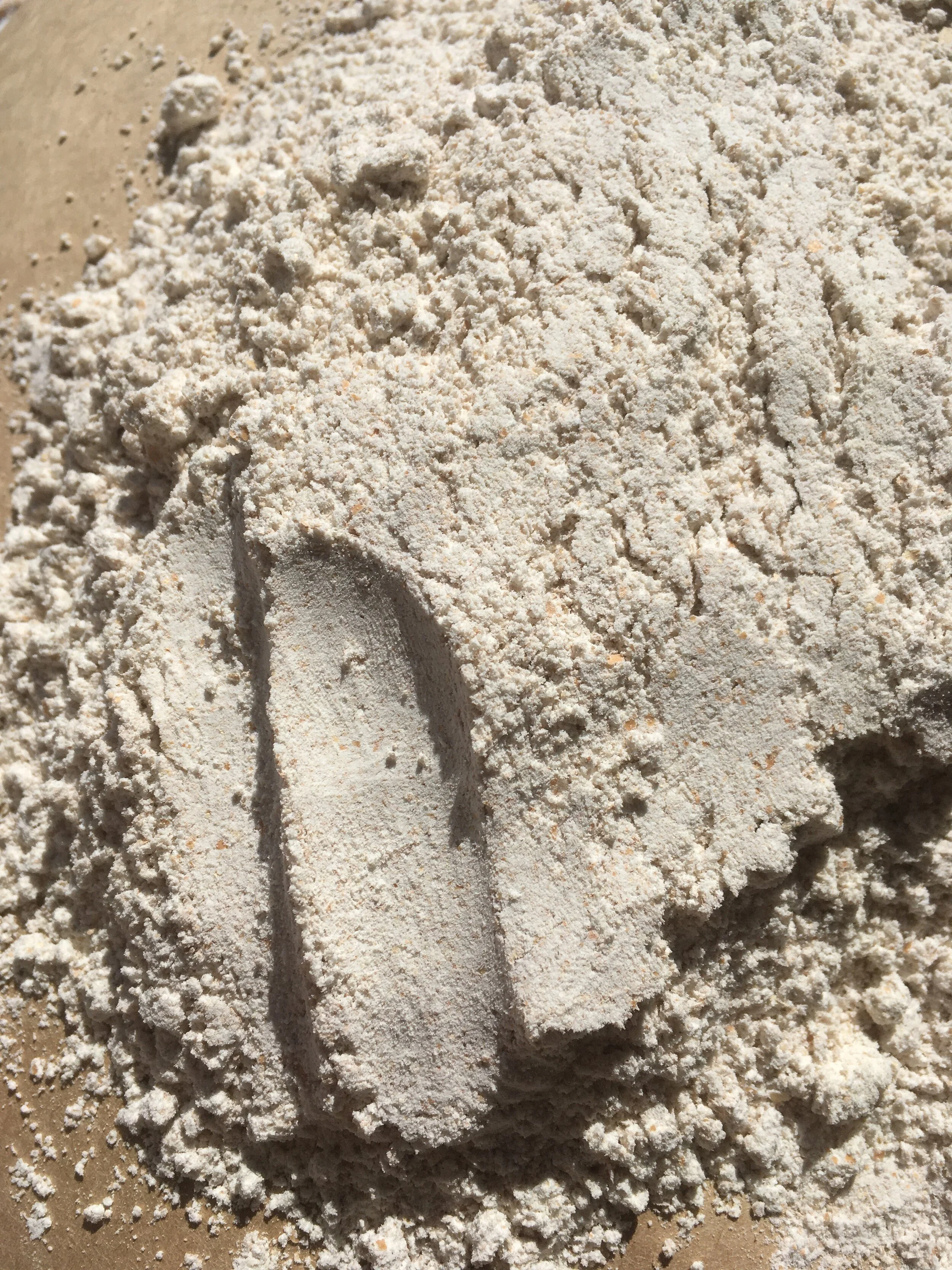 Turkey Red Heirloom Artisan Bread Flour — Red Tail Grains