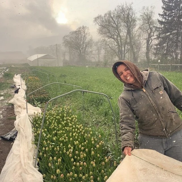 CSA last call - 10 spots left! — Rock Steady Farm