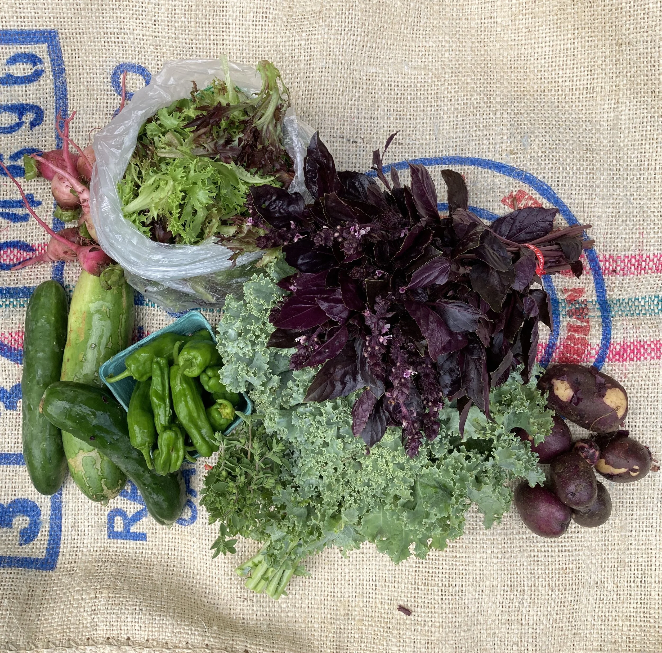 Join our CSA — Rock Steady Farm