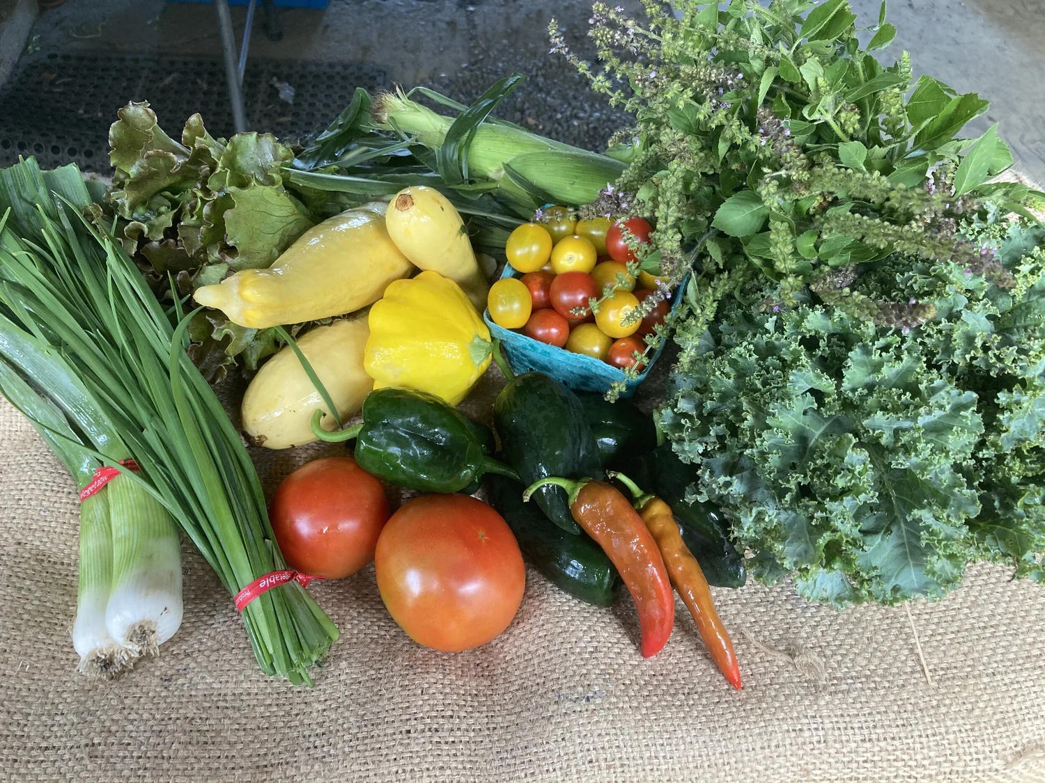 Join our CSA — Rock Steady Farm