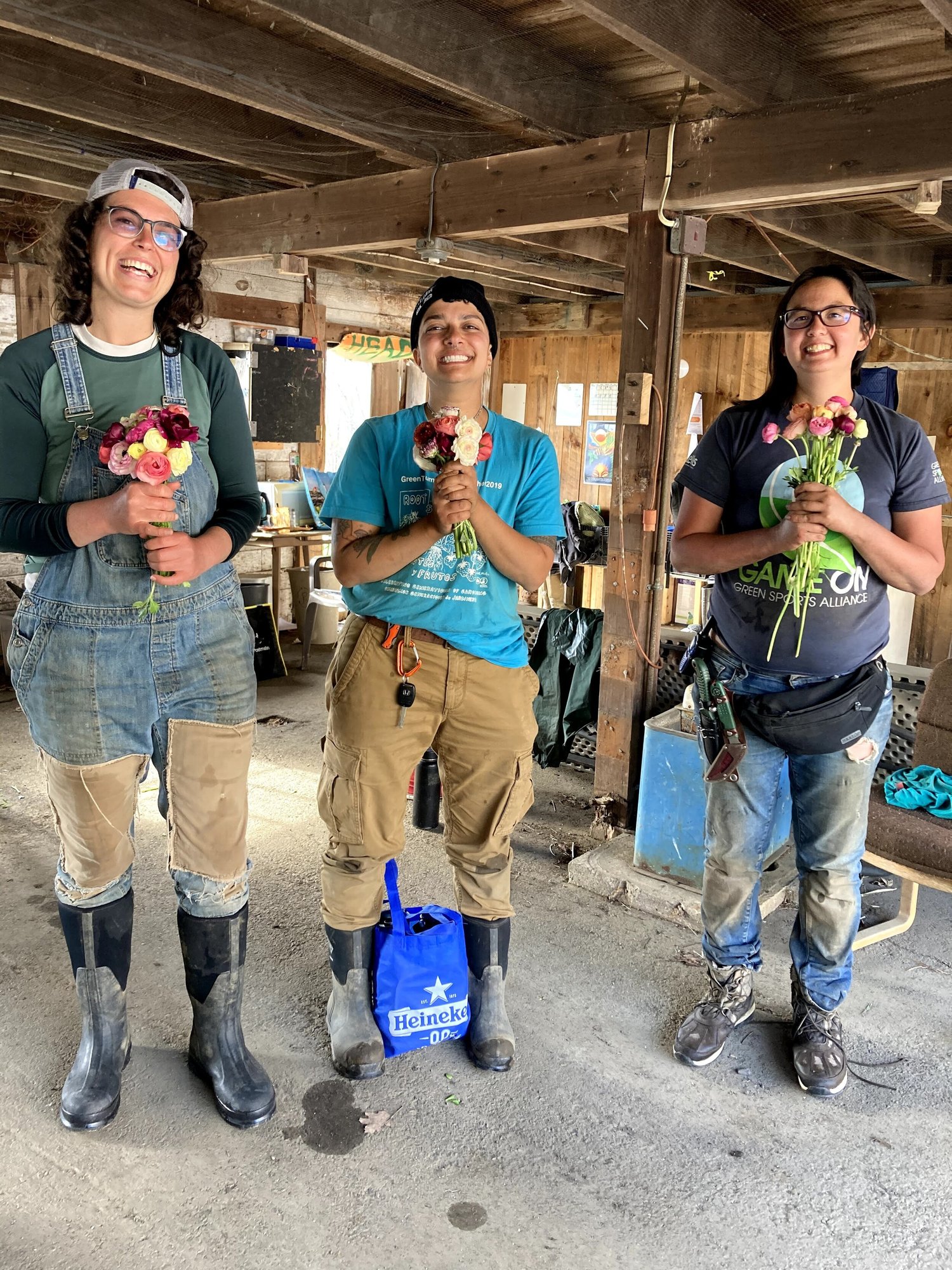 Pronouns 101 — Rock Steady Farm