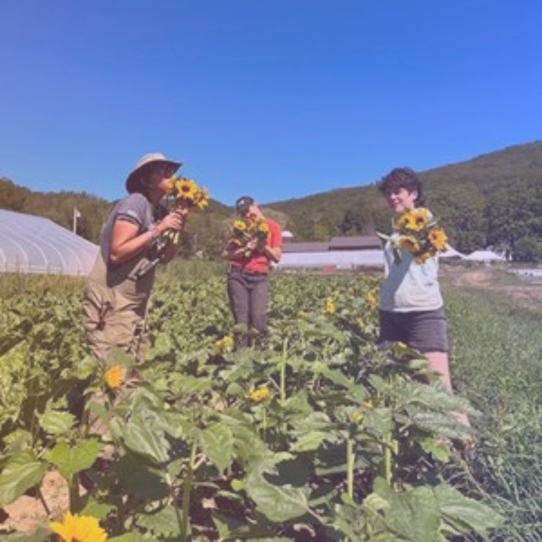 Events Calendar — Rock Steady Farm