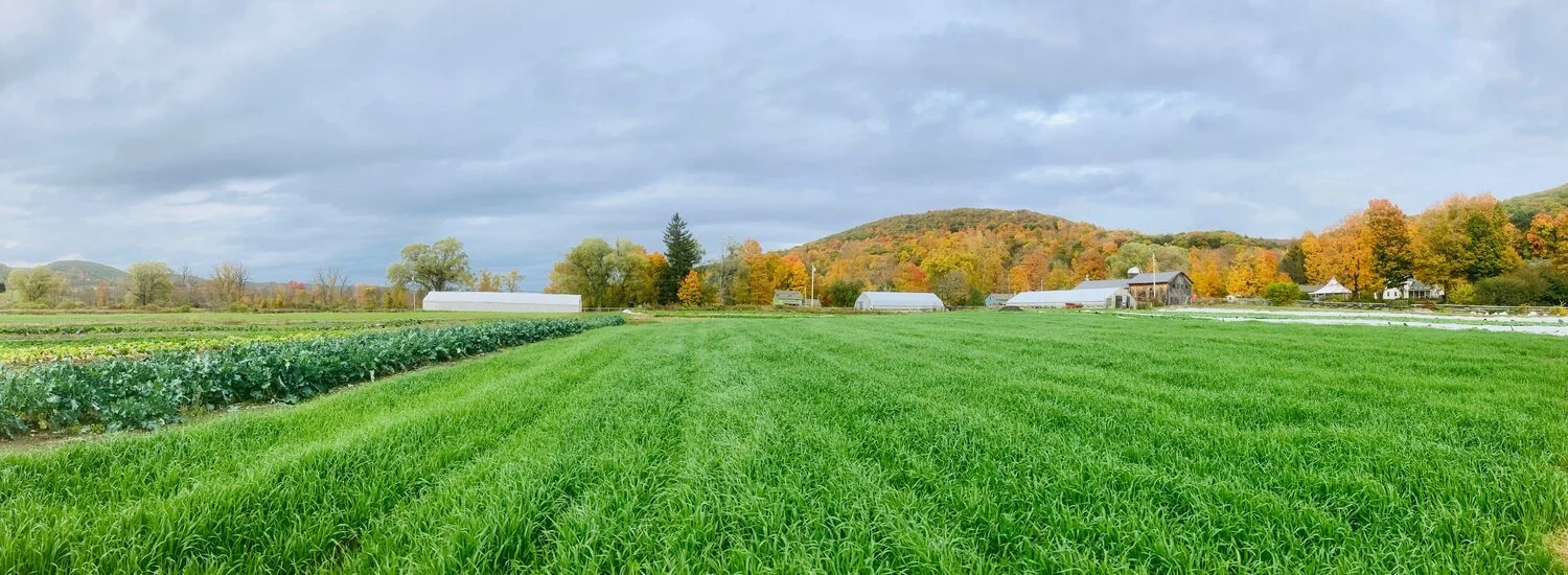 Events Calendar — Rock Steady Farm