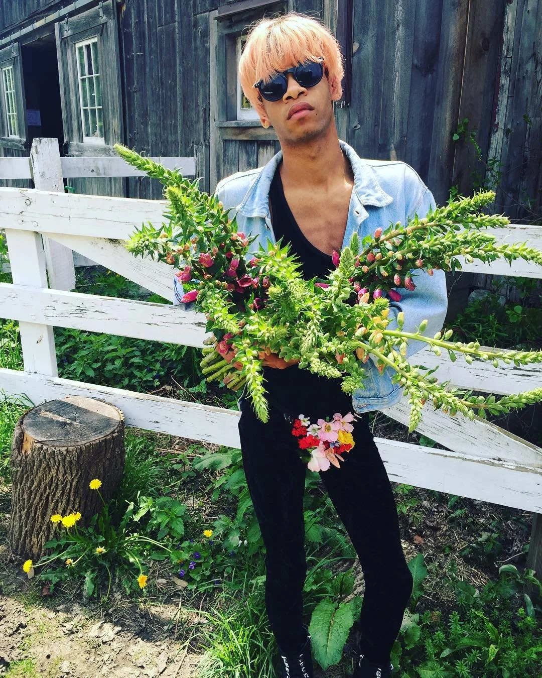 Events Calendar — Rock Steady Farm