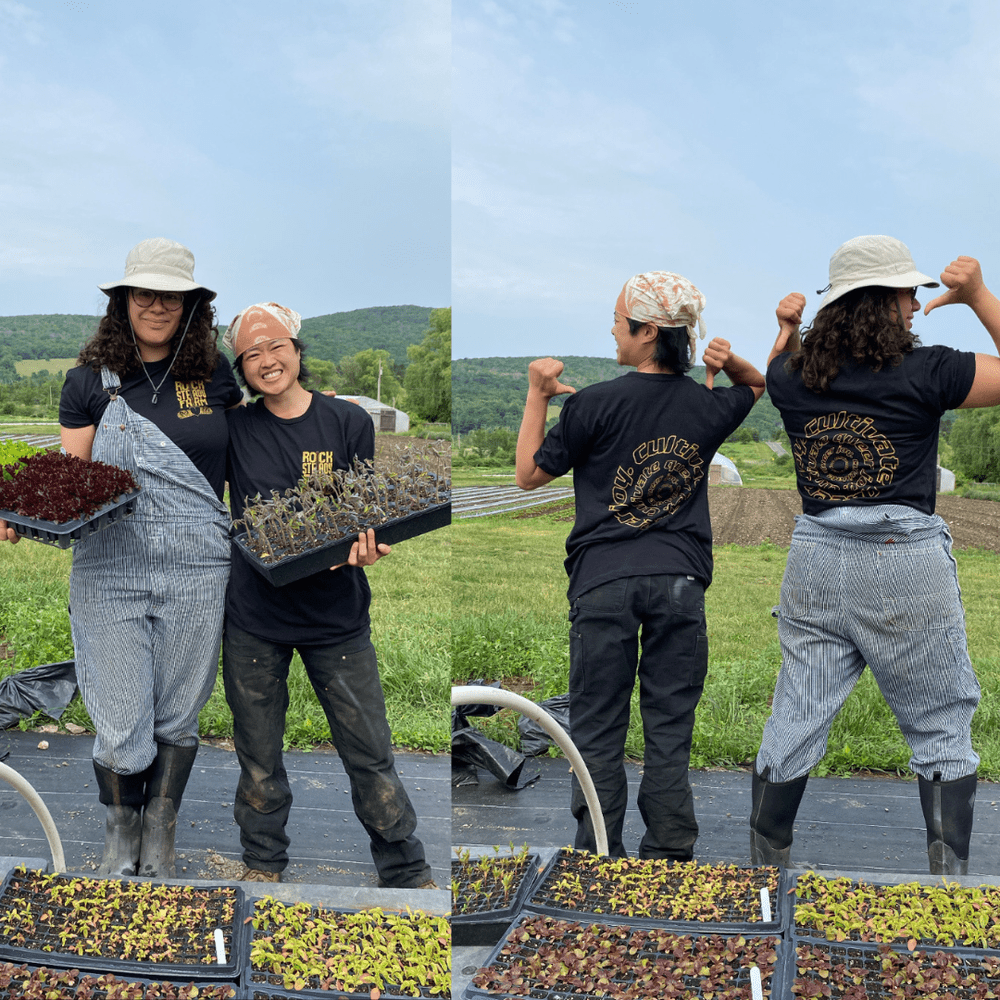 Pronouns 101 — Rock Steady Farm