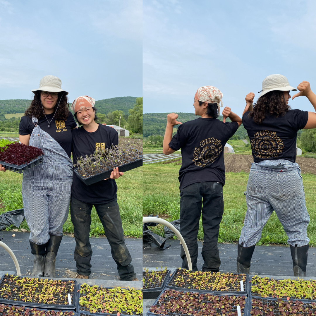 Join our CSA — Rock Steady Farm