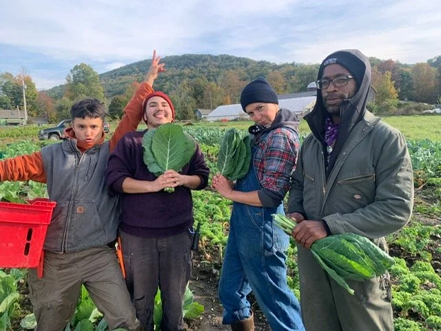 Short Films — Rock Steady Farm