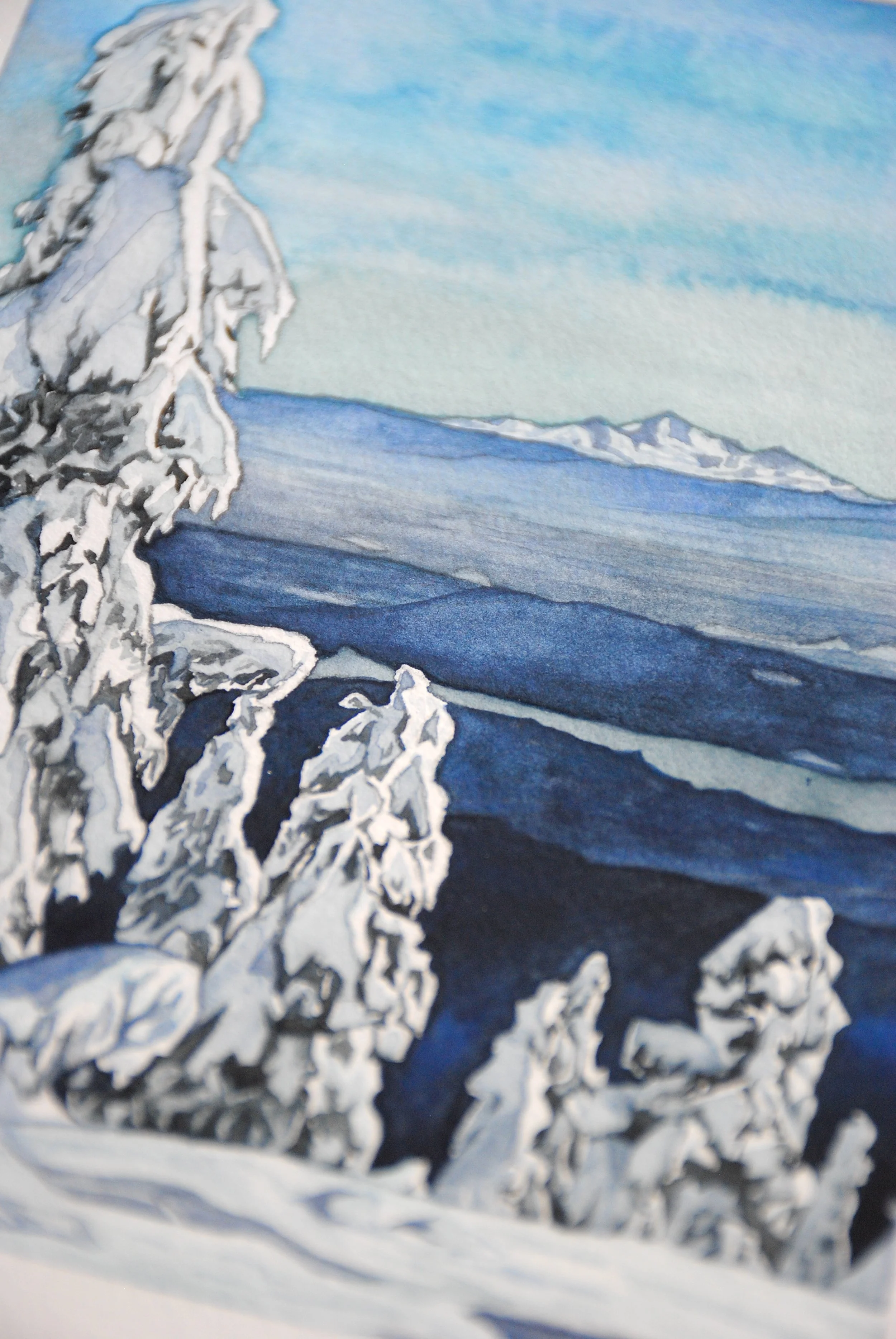 Shop — Jill Pelto Art