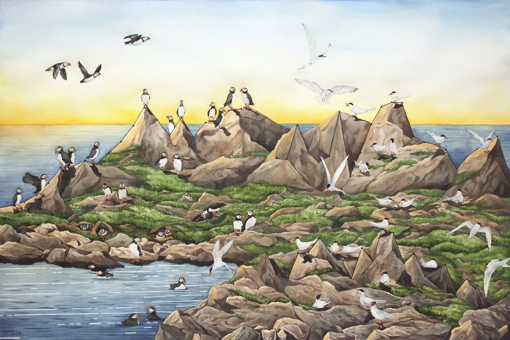 Seabirds — Jill Pelto Art
