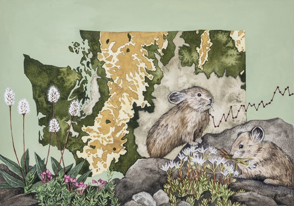 Pika — Jill Pelto Art