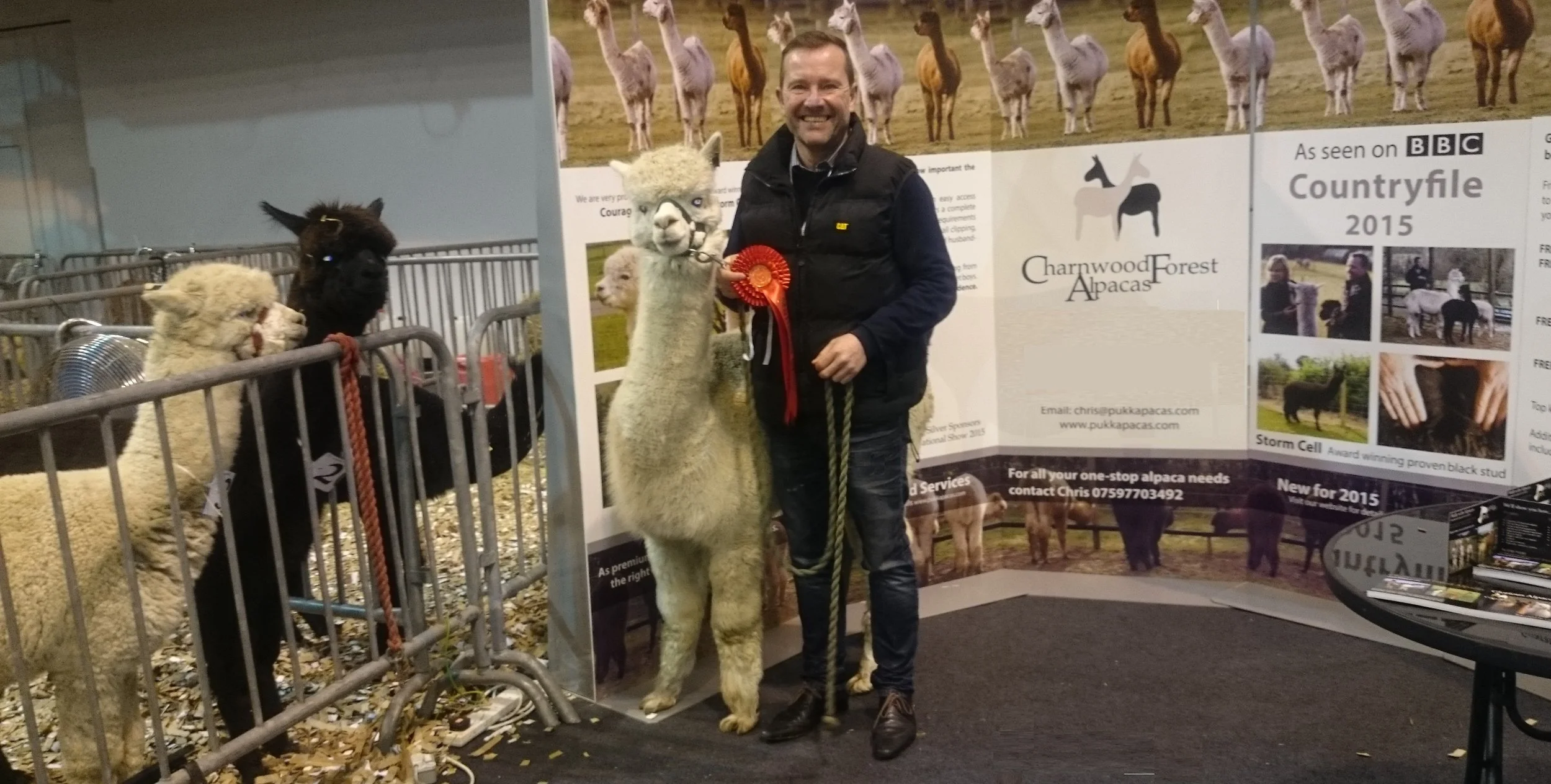 Alpacas for sale, alpaca for sale, alpaca sales, alpaca breeding ...