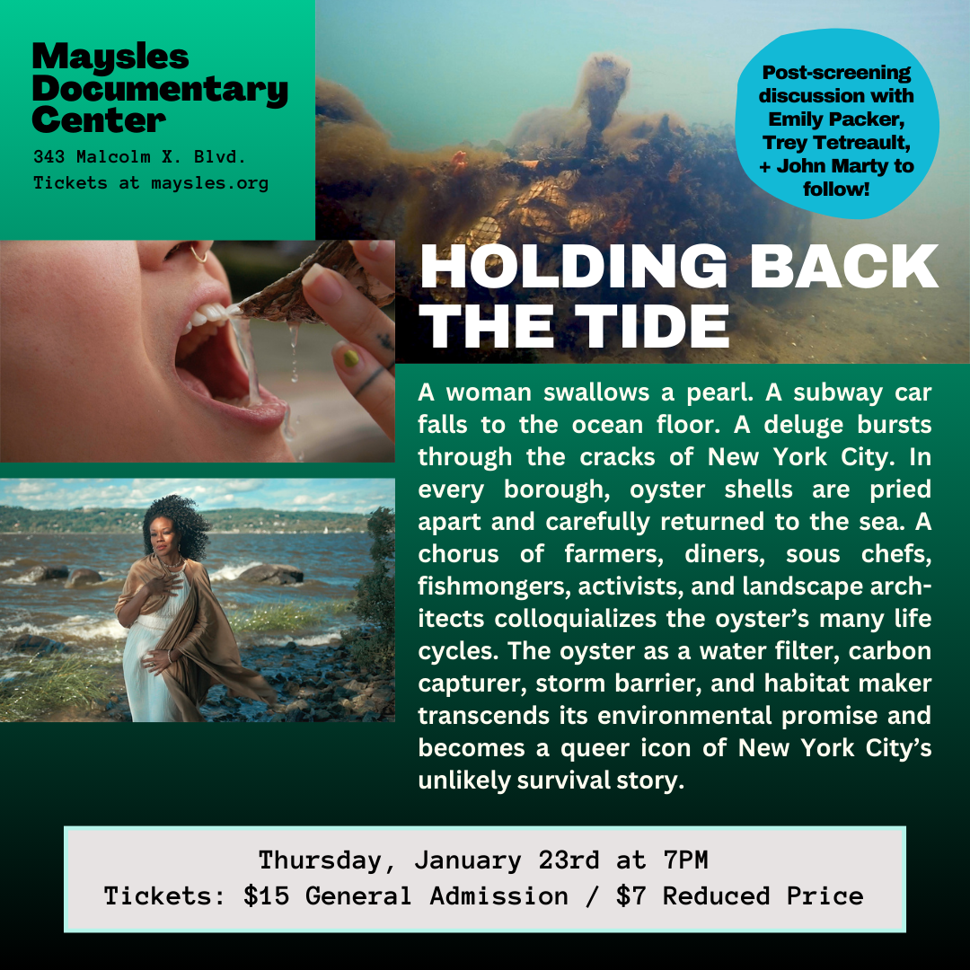 maysles documentary center