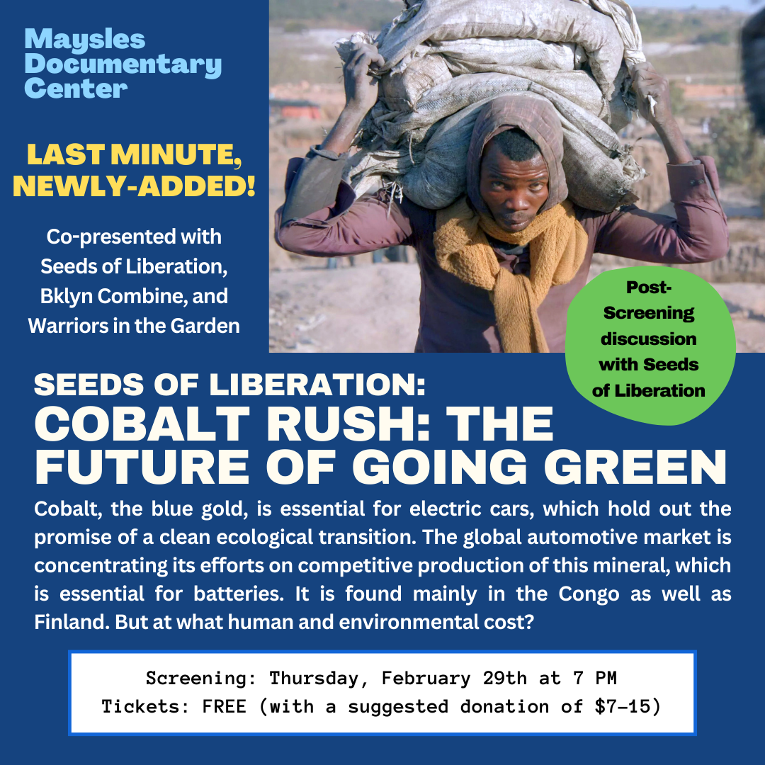 Seeds of Liberation – COBALT RUSH: THE FUTURE OF GOING GREEN — maysles ...
