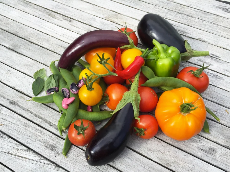 NIMAculteurs: Les jardins potagers en hauteur