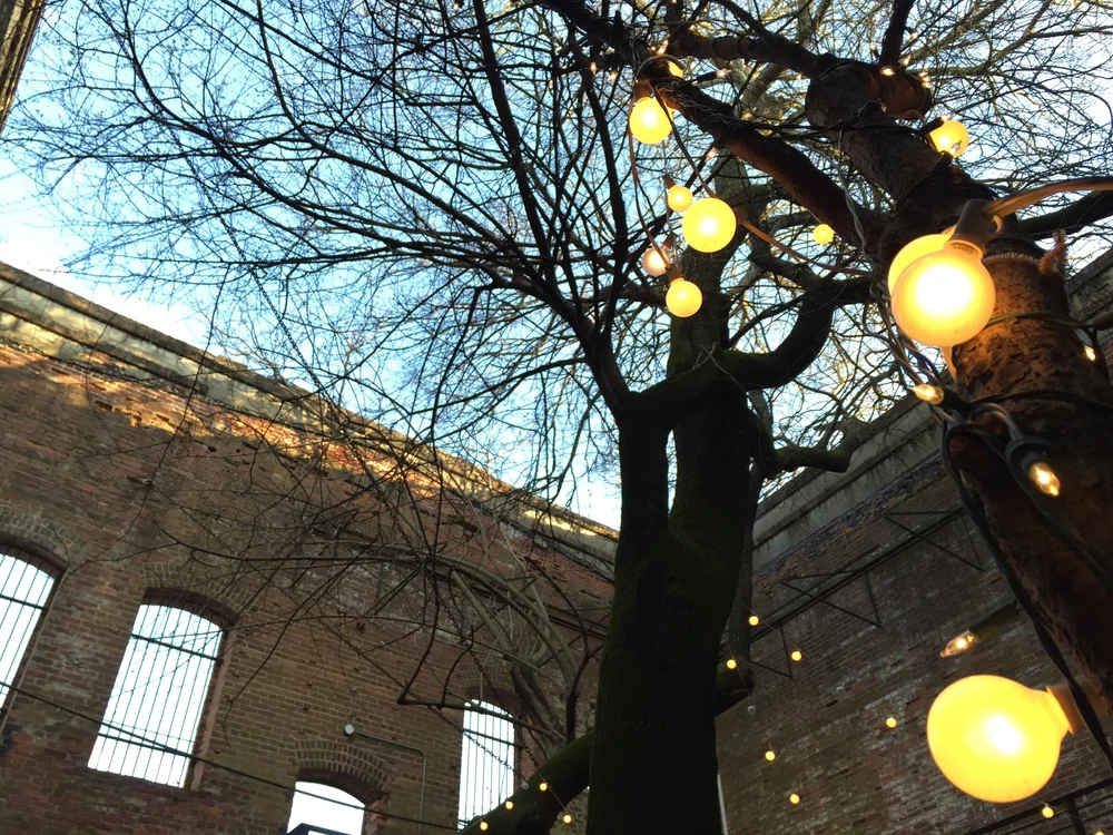 About — The Tree Room