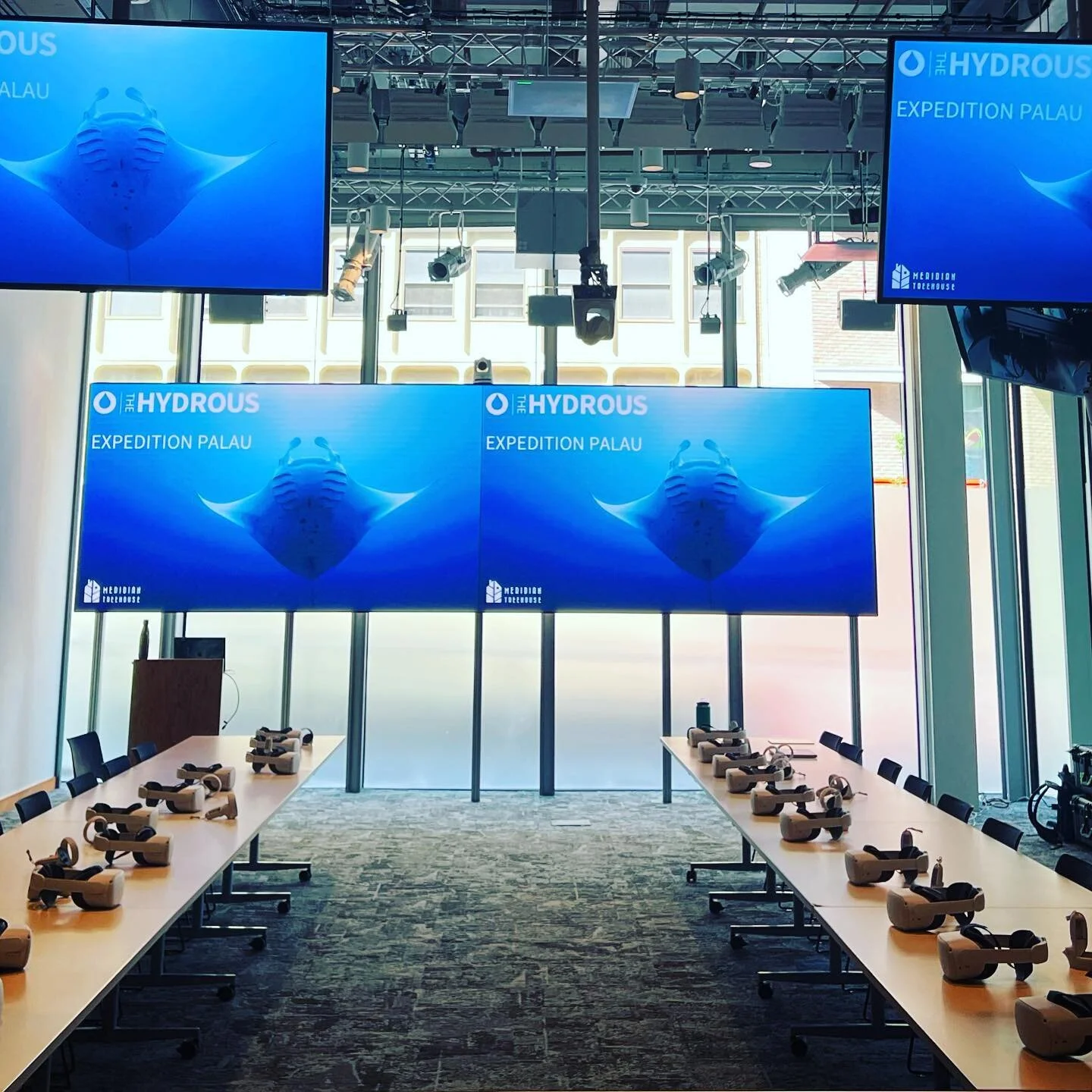 Erika Woolsey PhD, marine biologist, educator, designer, VR filmmaker