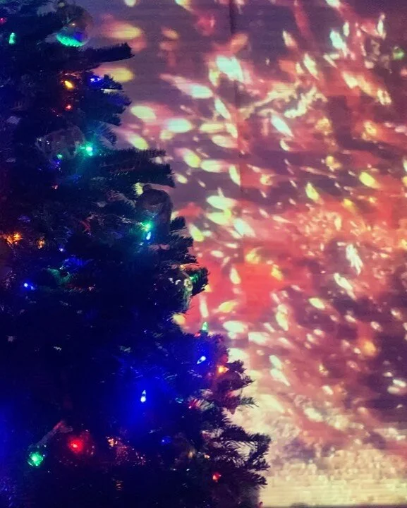 Erika Woolsey PhD, marine biologist, educator, designer, VR filmmaker