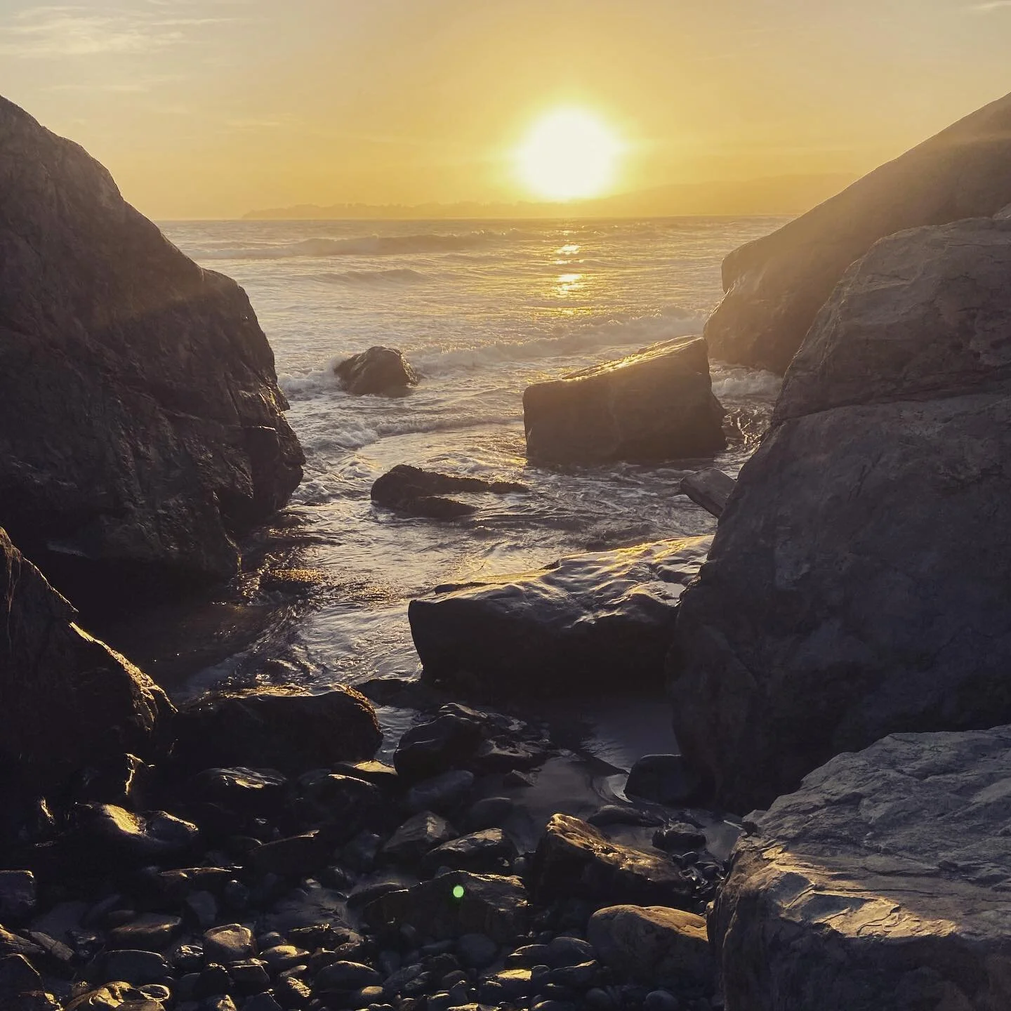 Erika Woolsey PhD, marine biologist, educator, designer, VR filmmaker