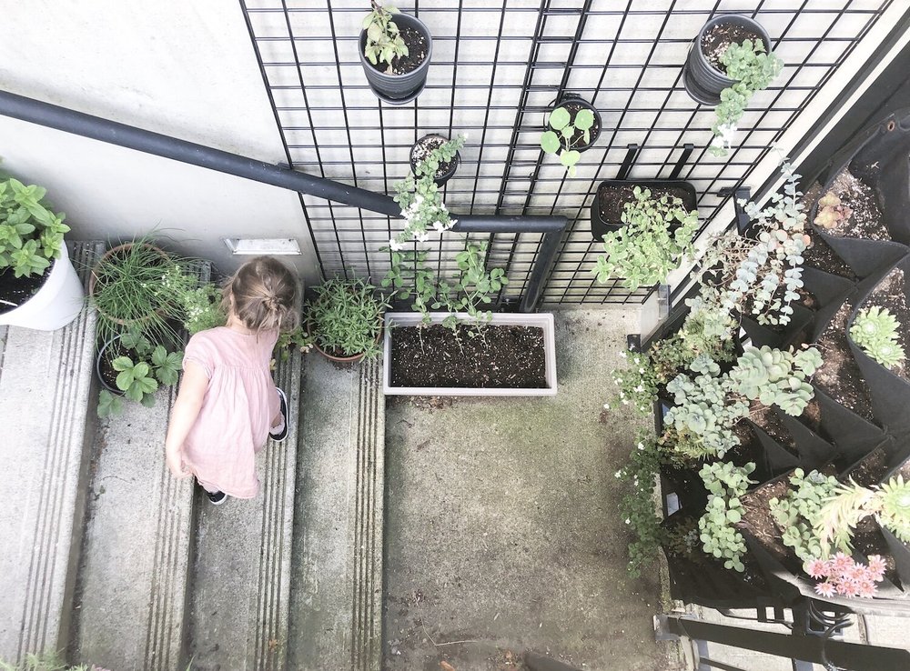 DIY Outdoor Grid Planter Wall for a Small Patio — 600sqftandababy