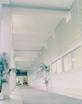 Monoglass Spray-Applied, Non-Combustible Thermal & Acoustic Insulation ...