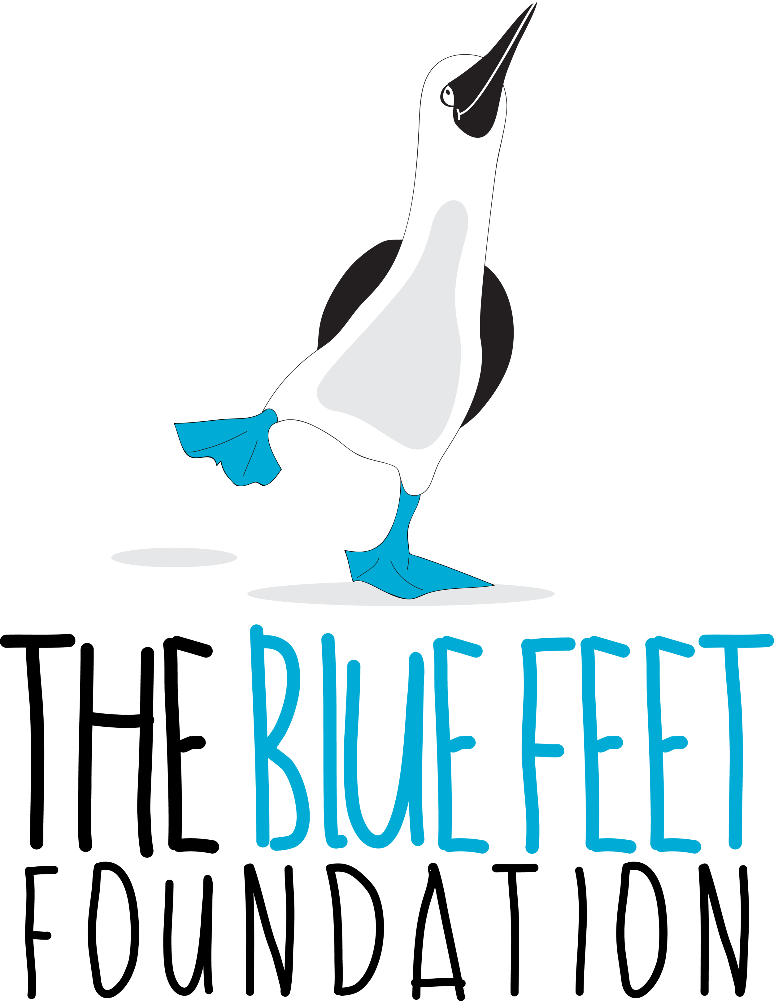 Blue Feet FoundationThe Blue Feet Foundation