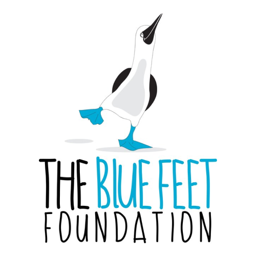 Order Socks — The Blue Feet Foundation