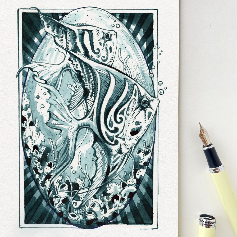 Angelfish Drawing Tattoo
