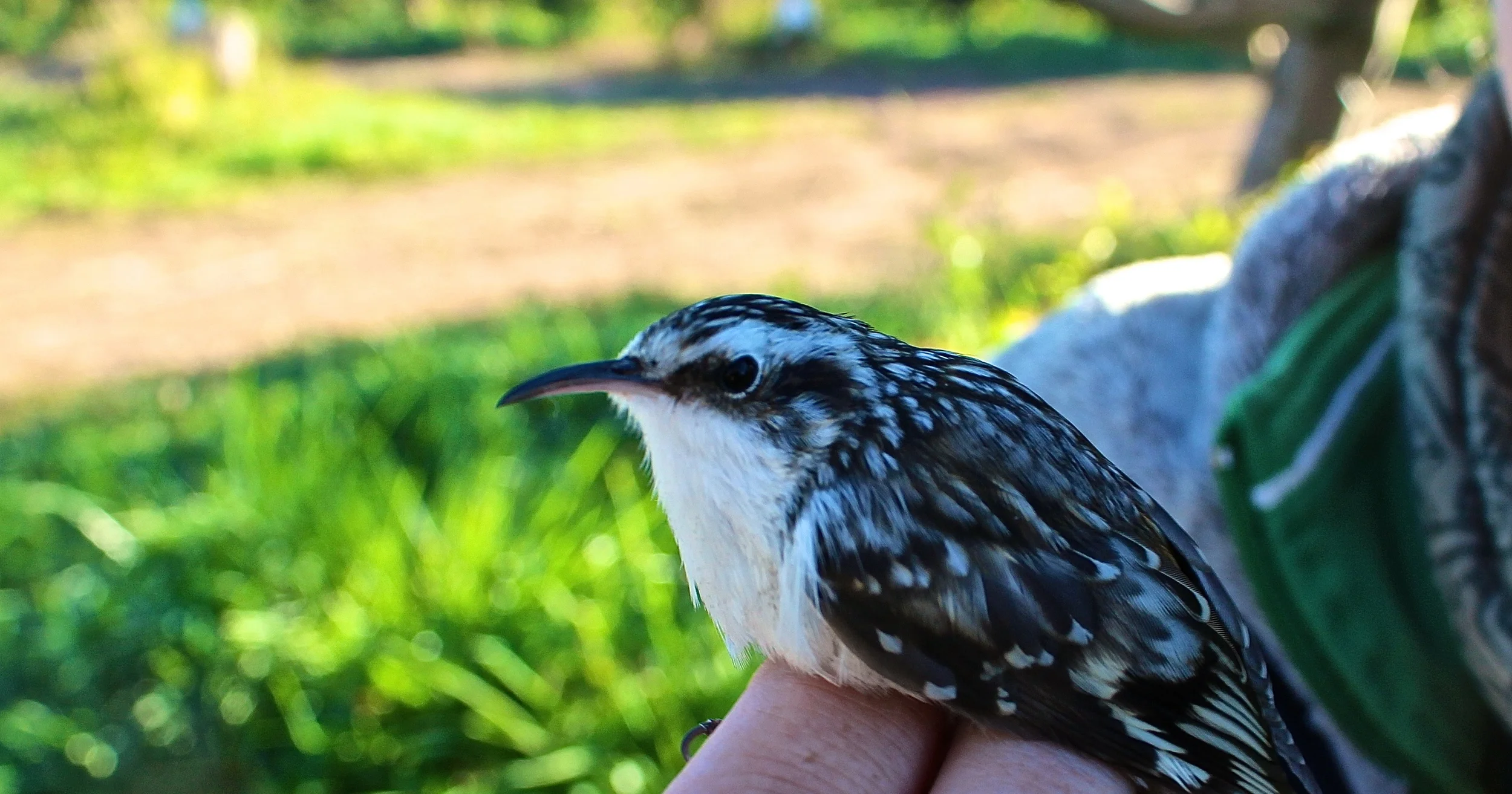 Tracy Aviary Conservation Science