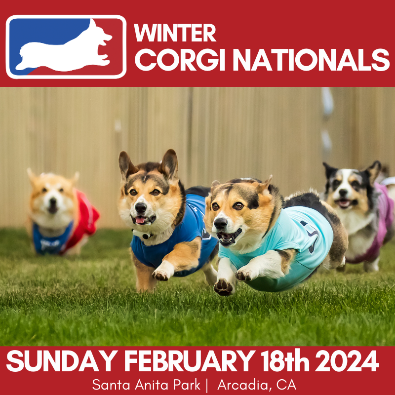 Calendar — Queen's Best Stumpy Dog Rescue