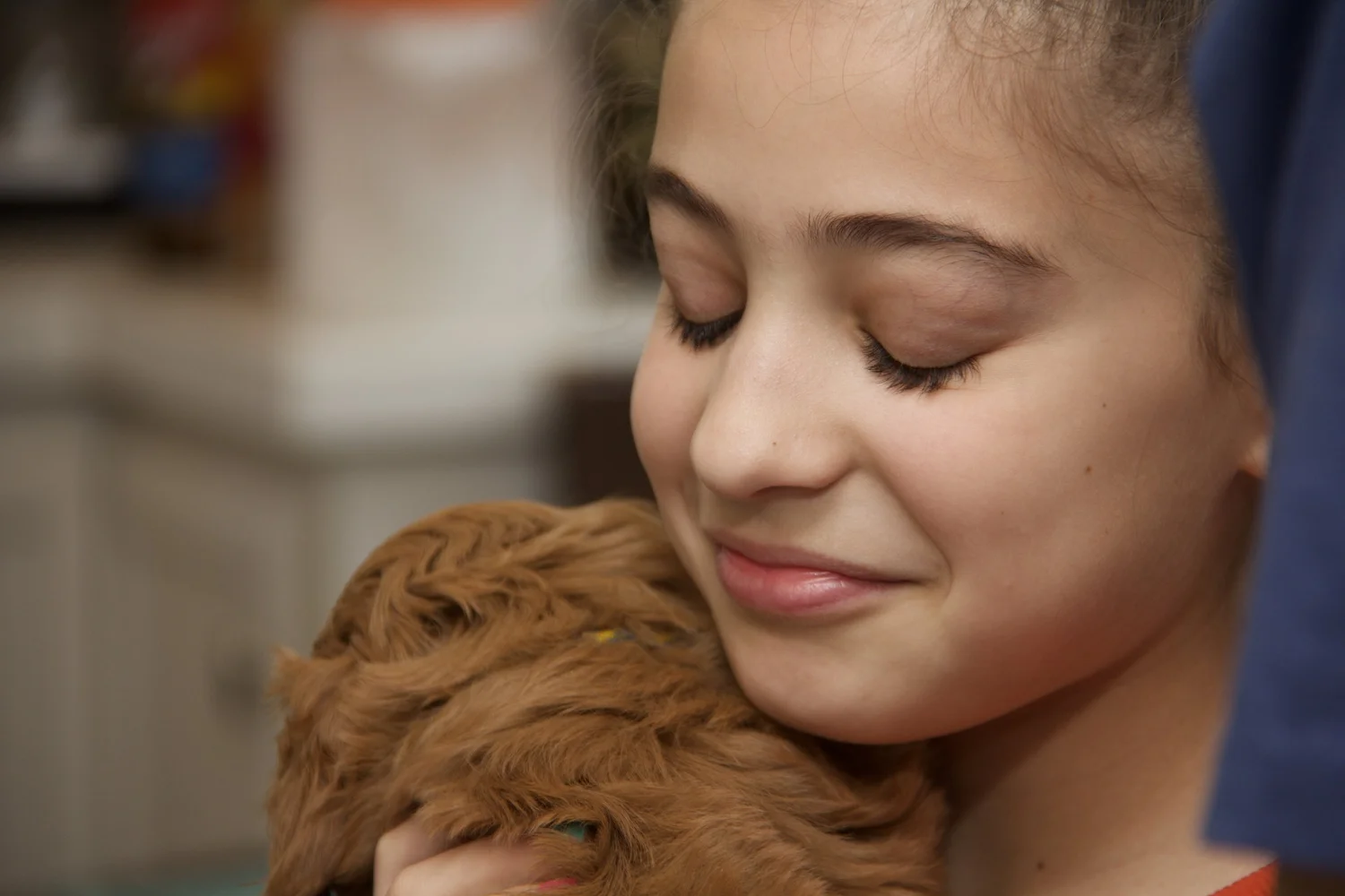 Toby (née Bertie) — Victoria Creek Australian Labradoodles