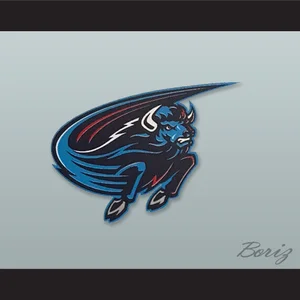 Destroyers Football Logo