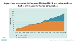 Overfishing — Environmental Progress