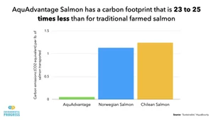 Overfishing — Environmental Progress