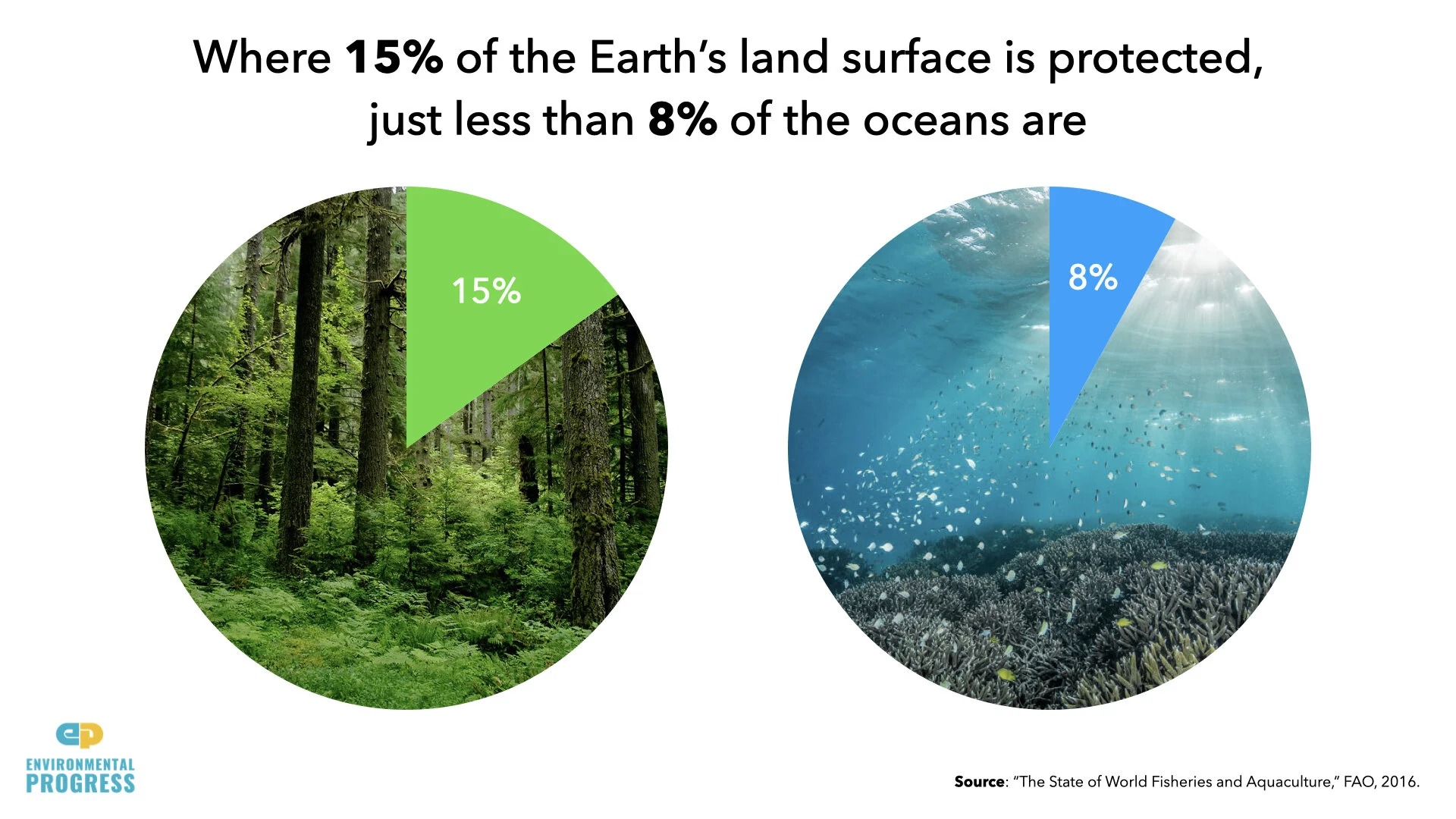 Overfishing — Environmental Progress