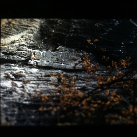 The Day I Didn't Send Omaha Beach | Articles – Power Company Climbing