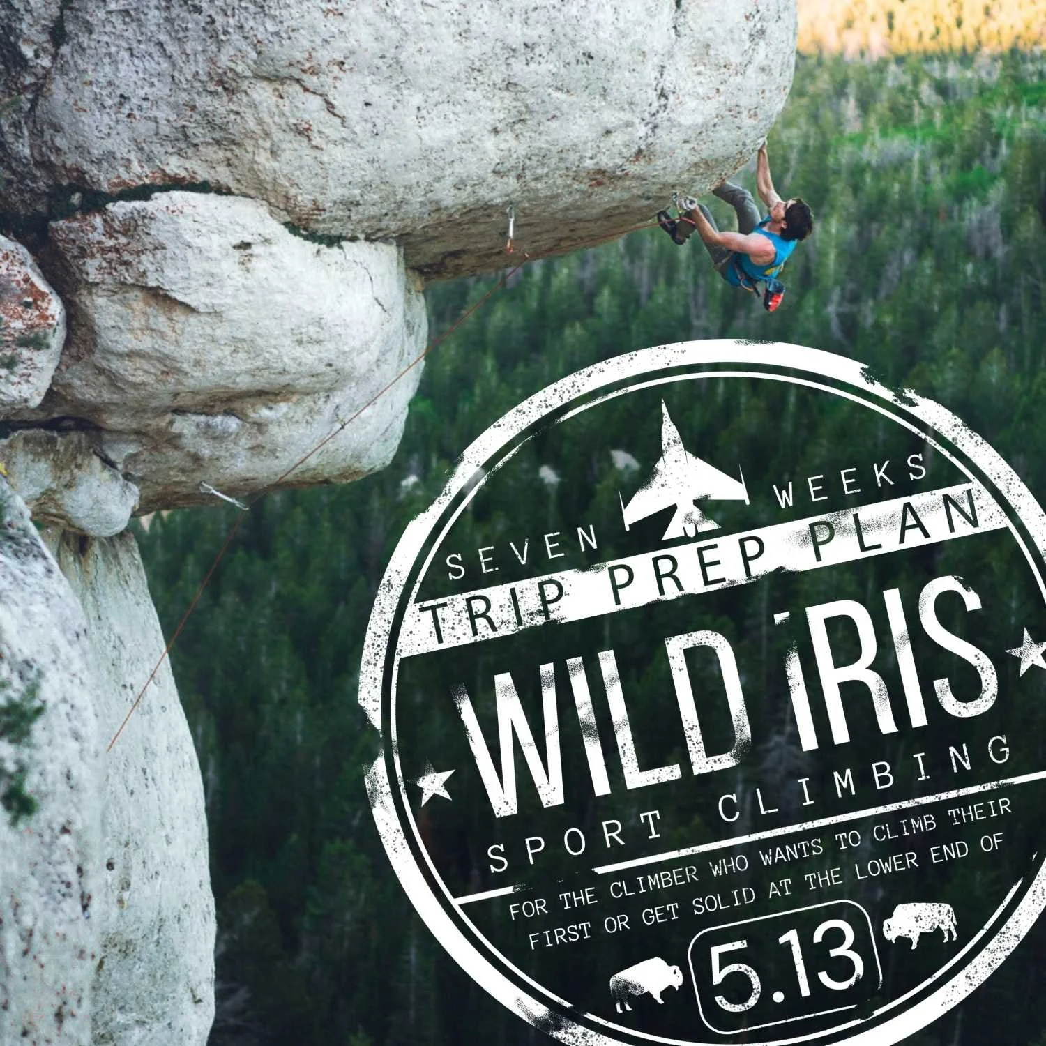 Trip Prep Plans | Area-Specific Training for Rock Climbers