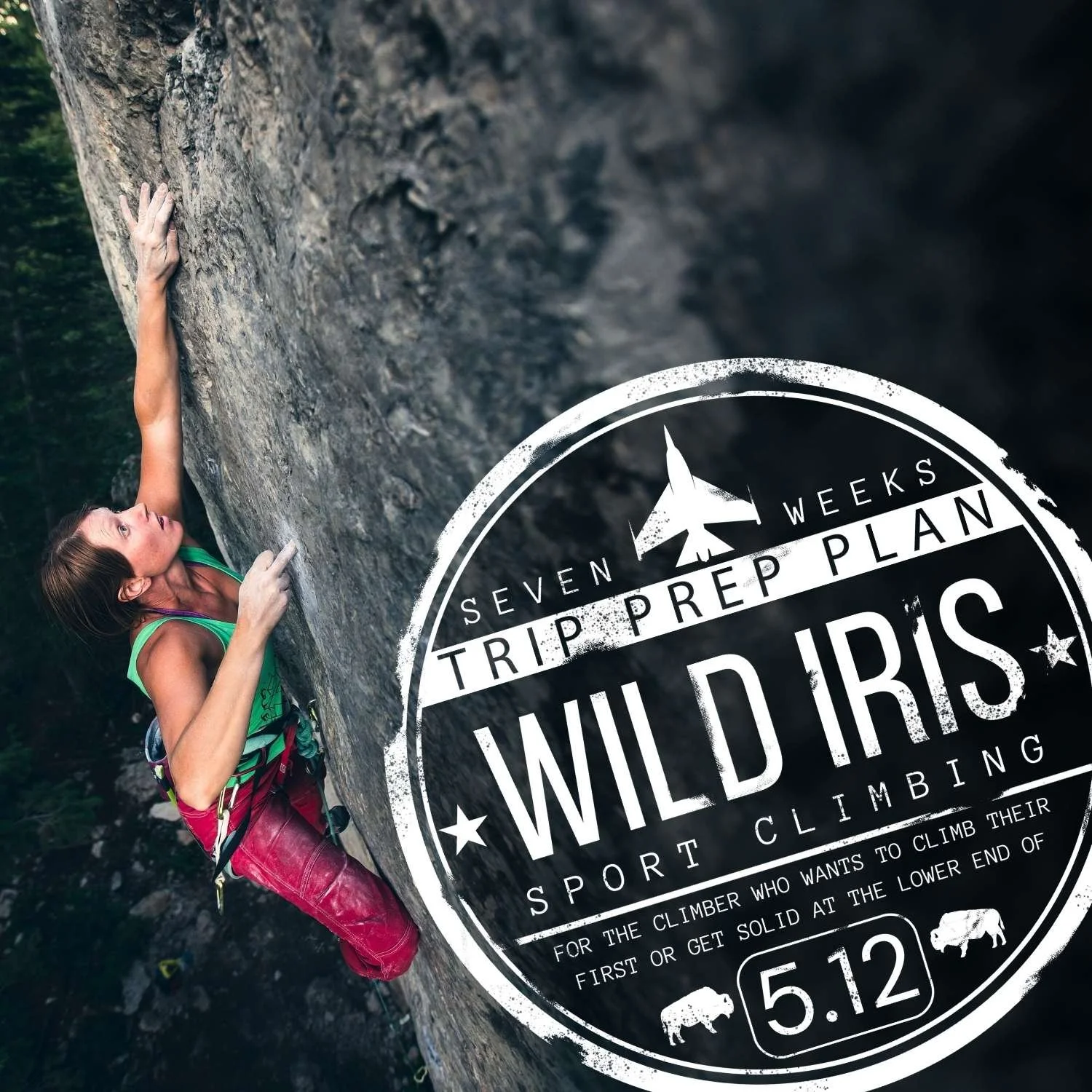 12 Week Custom Plan | Training Programs for Rock Climbers
