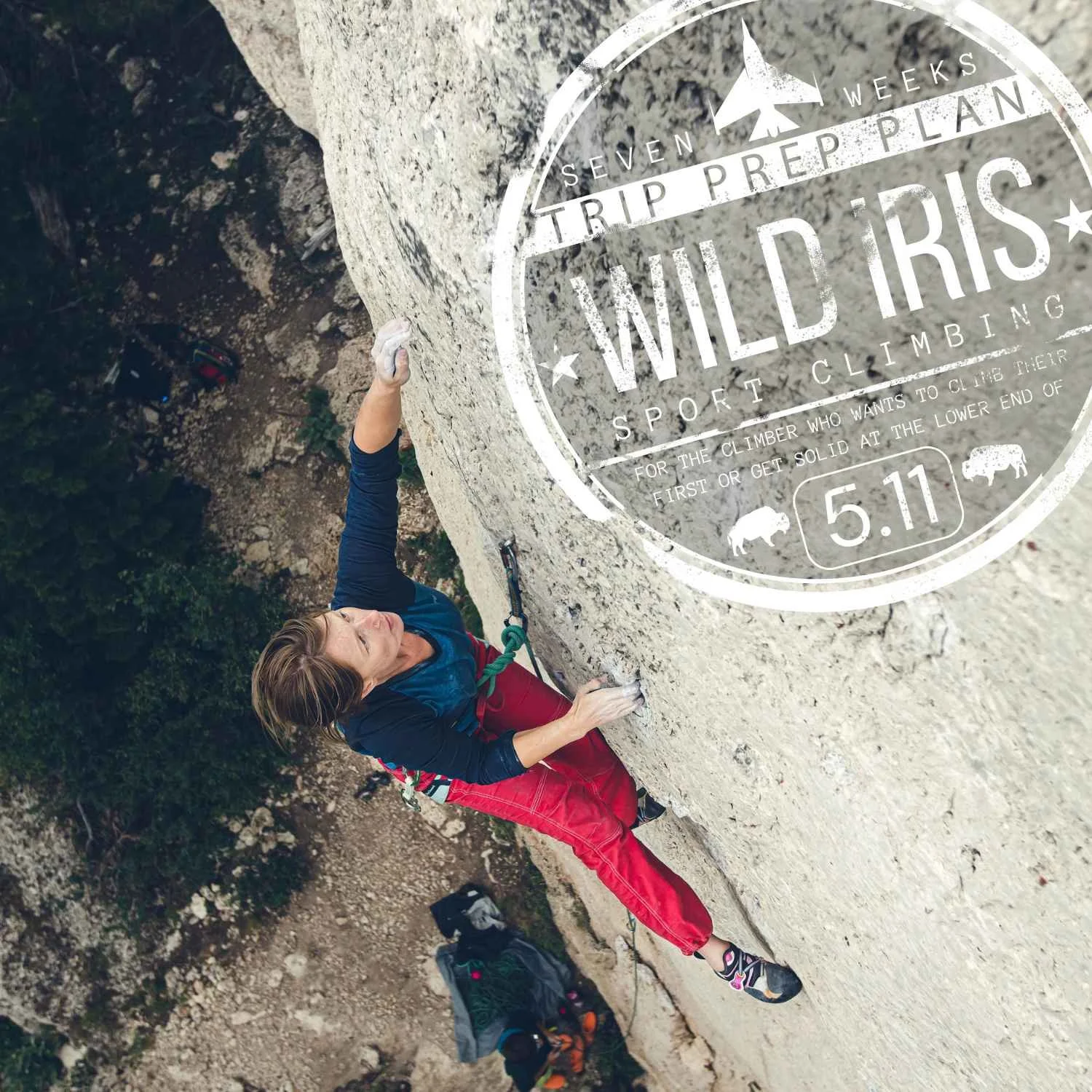 6 Week Custom Plan | Training Programs for Rock Climbers