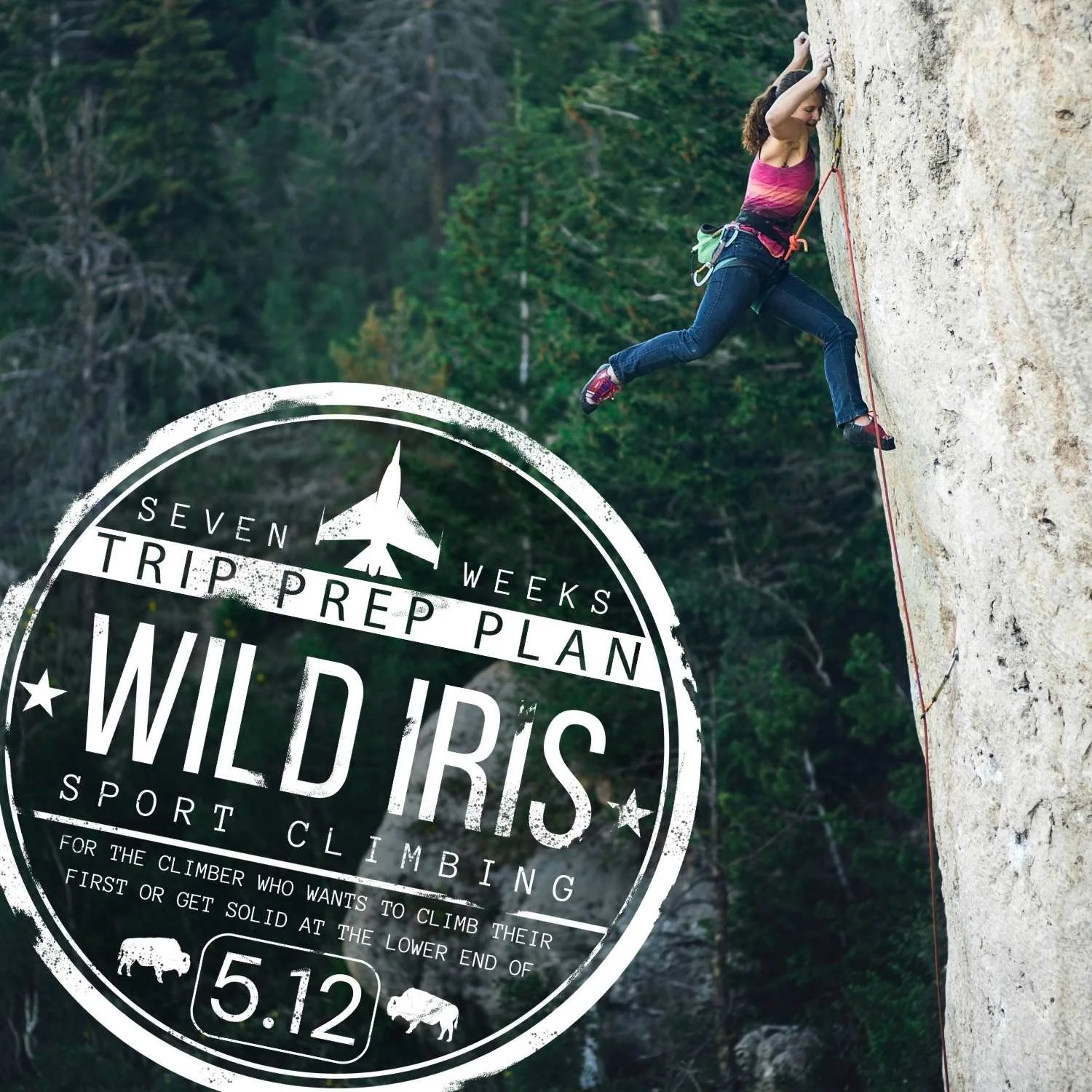 12 Week Custom Plan | Training Programs for Rock Climbers